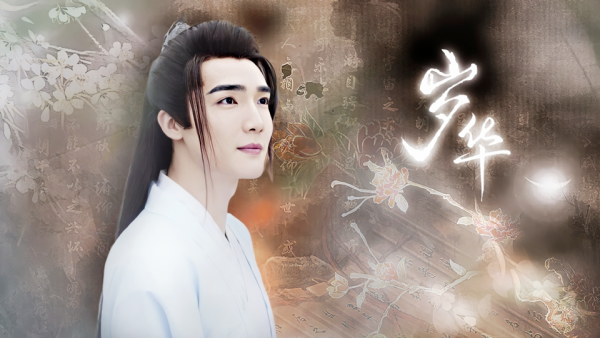 BoShow • 精选集